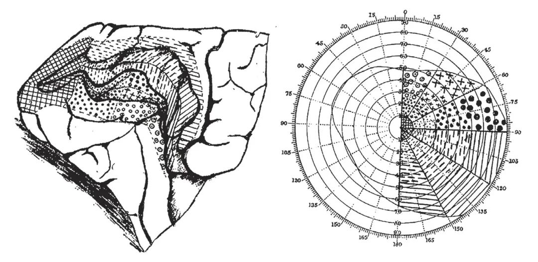 Brain-computer interface and visual prosthesis - iMedia