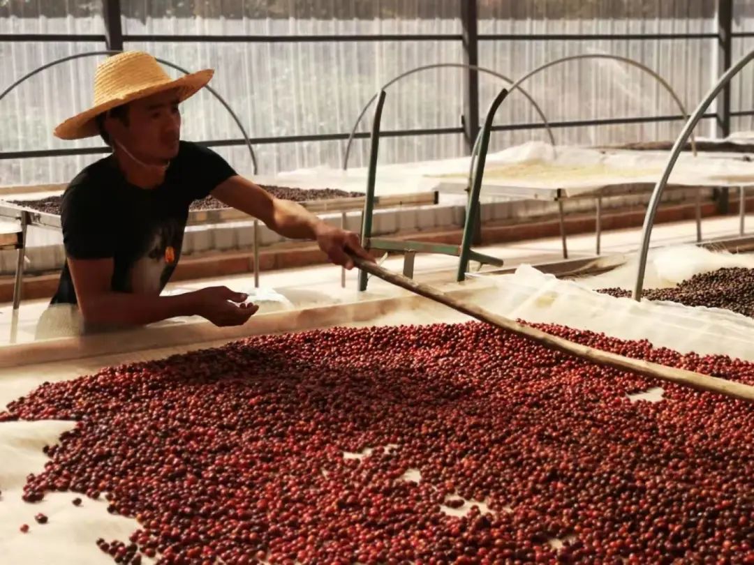 The day is over! The latest "Coffee Map" in Shamian 2023 is released ...