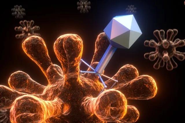 Nature's Miraculous Nano-robots - Bacteriophages Specialized in Killing ...