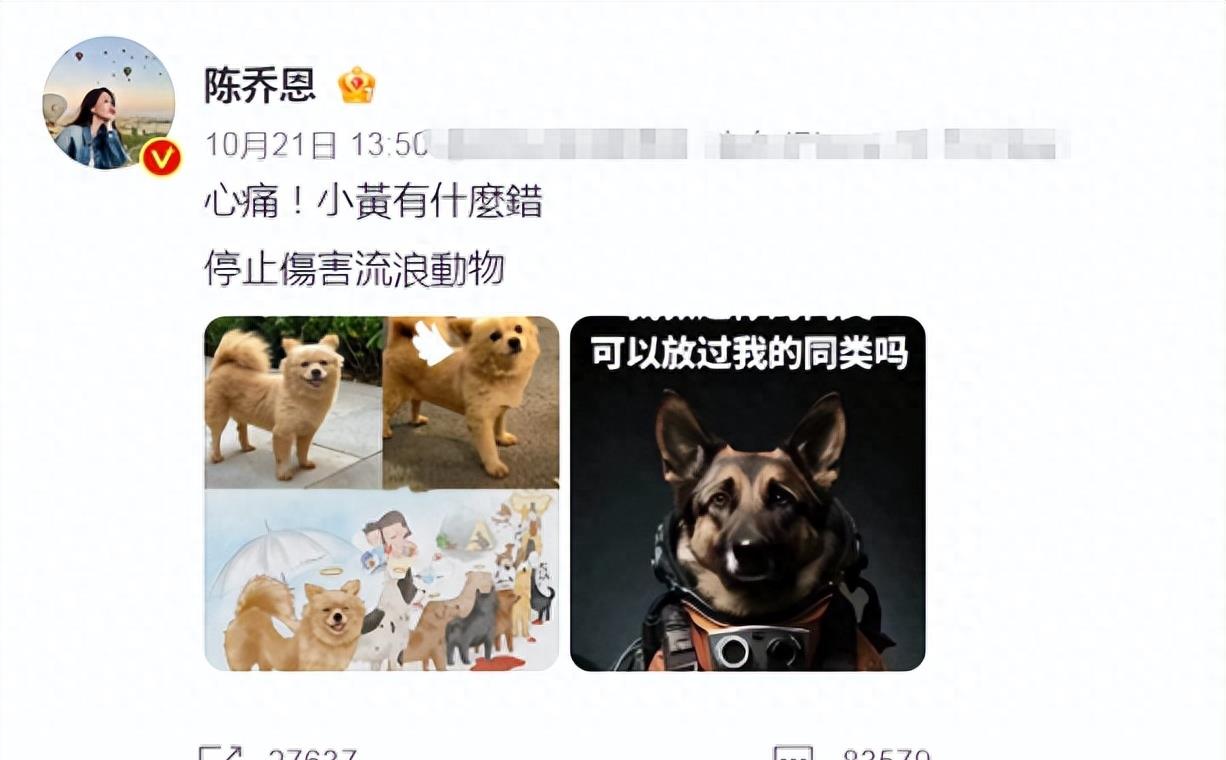 Celebrities support stray dogs, the truth about Yang Di, Liu Yase and ...