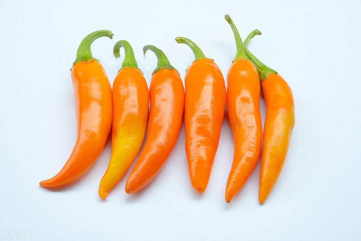 Demystifying the Origin of Pepper: It was misrepresented that it was ...