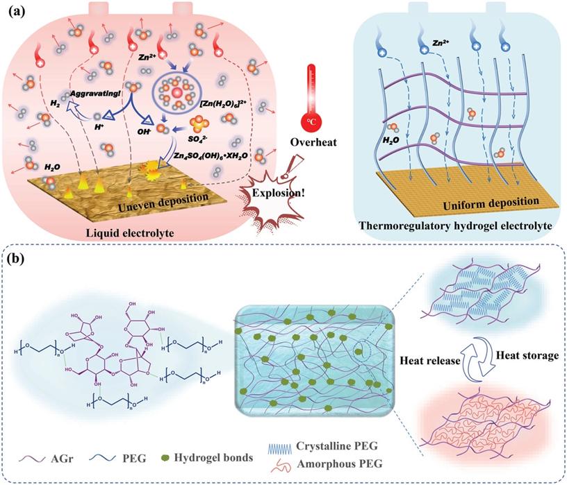 Nantong University: Development of temperature-regulating hydrogel ...