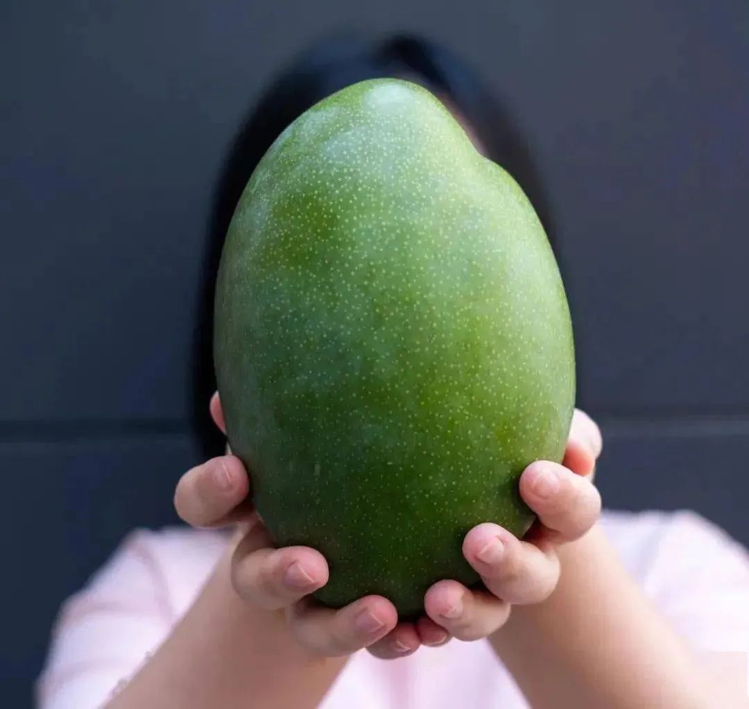 Kate Mang, who is bigger than his face, can't bite the pit, so he doesn ...