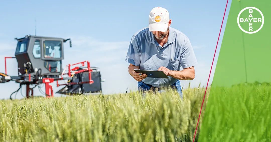 How did Bayer's "status in the rivers and lakes" come about? - iNEWS