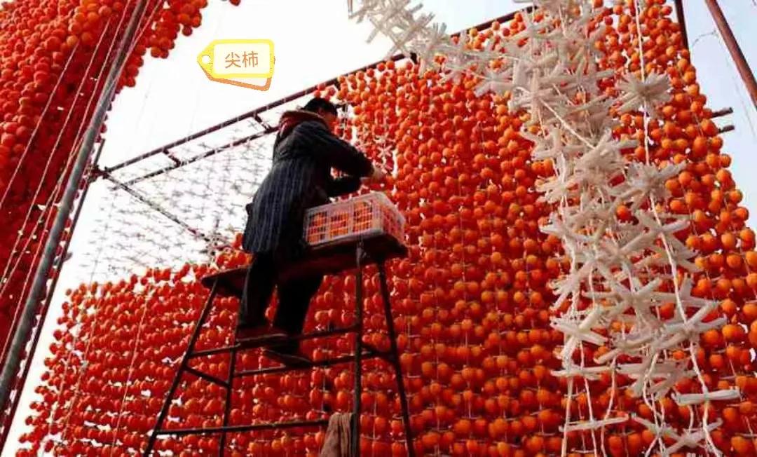 Top 10 Most Delicious Persimmons in China - iNEWS
