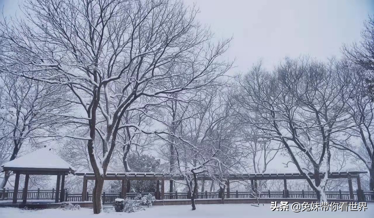 Where to go for snow appreciation in Nanjing in winter?These five must ...