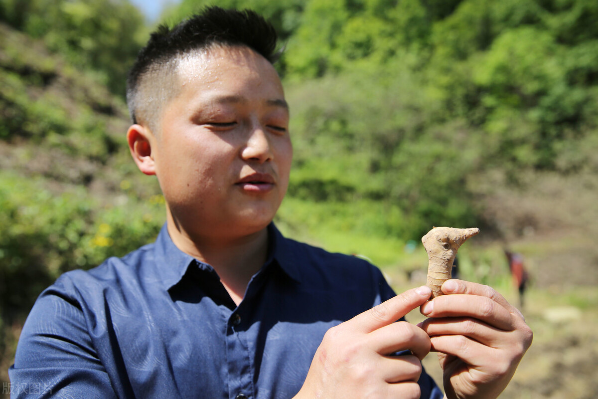 Li Shizhen: Call it "Fairy Surplus Grain", 3 ways to eat it, help you ...