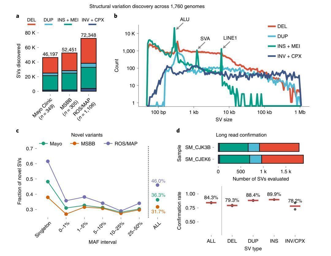 Whole-genome sequencing and integration of multi-omics data reveal the impact of structural ...