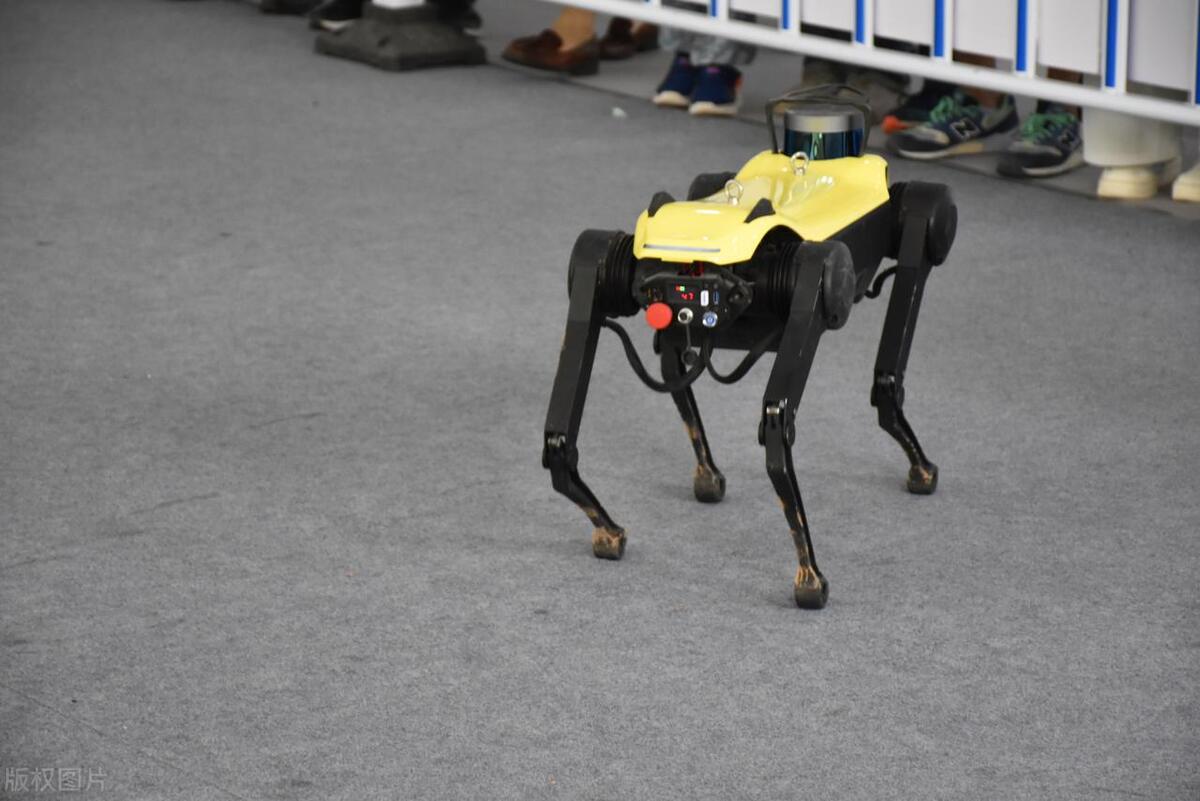 Rising stars in the field of robotics in the future: quadruped robot technology and its ...