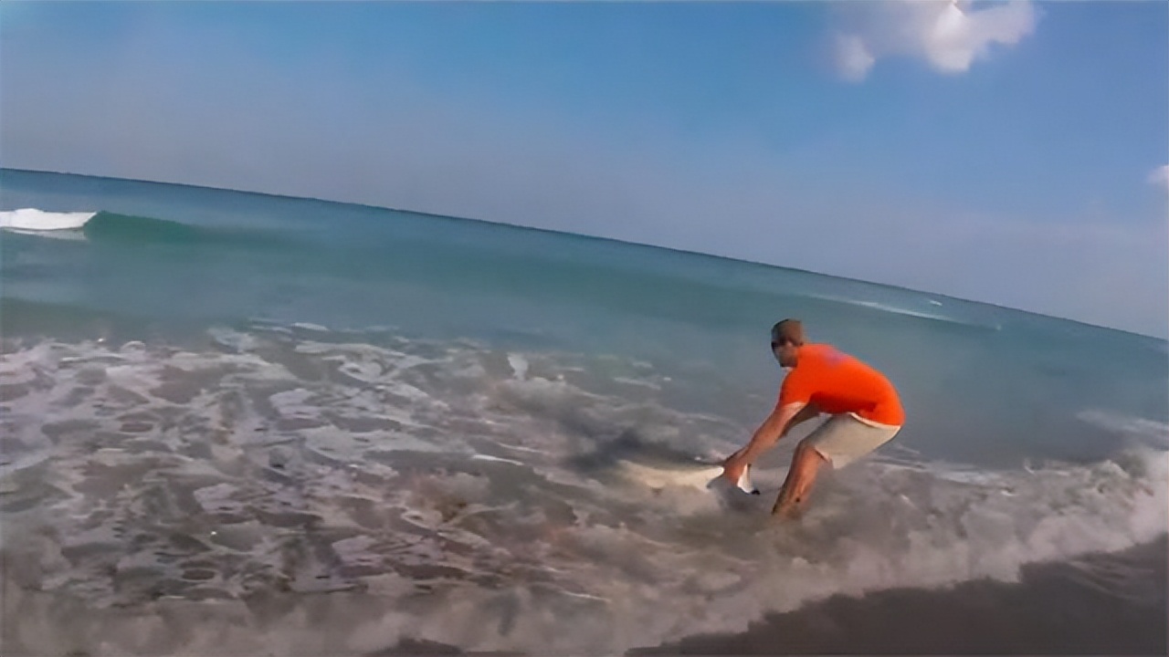 The stranded shark is in urgent need of rescue, and human beings ...