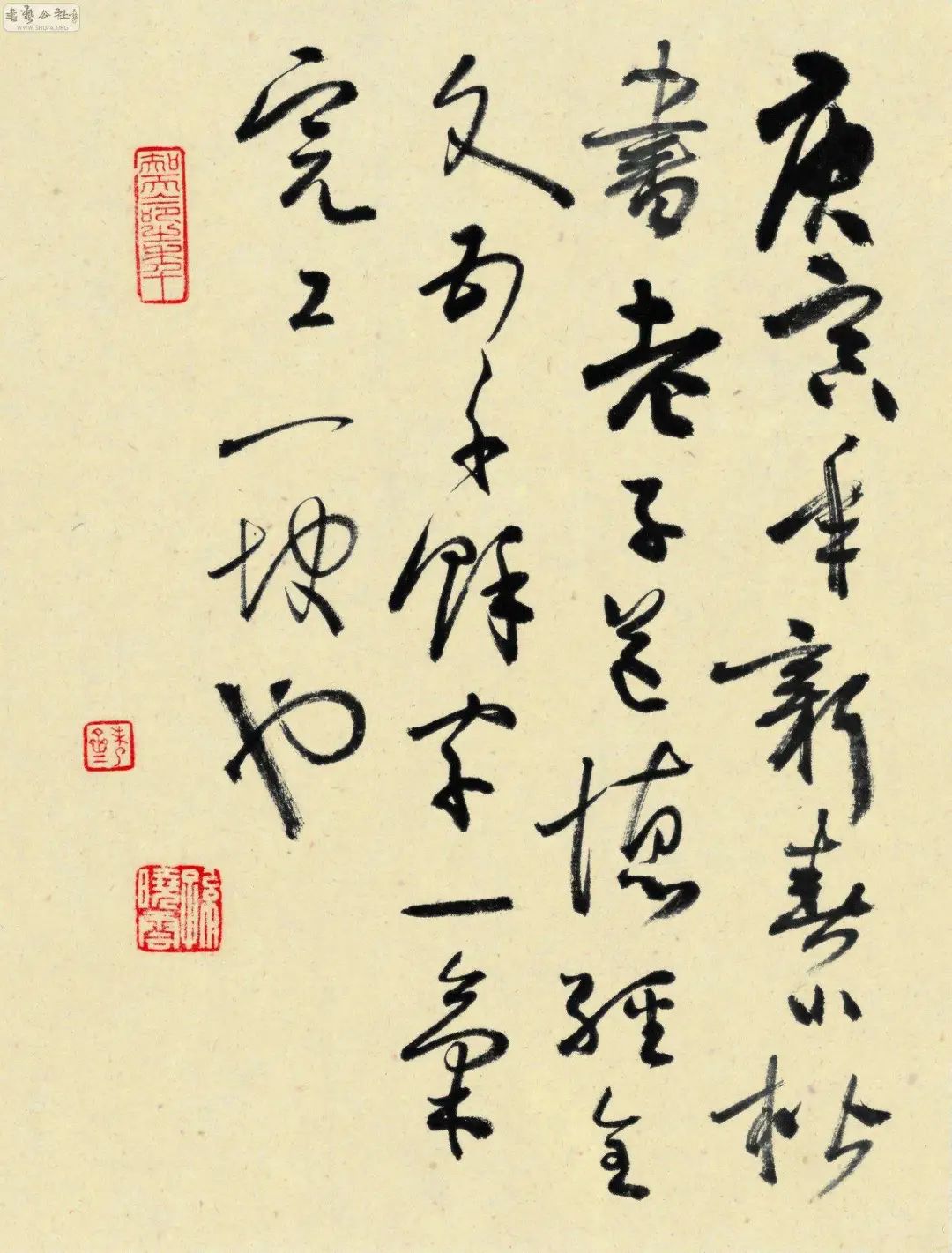 Sun Xiaoyun: Chinese Calligraphy Should Be Beautiful in Tradition ...