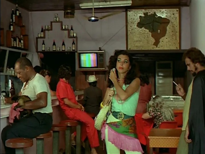 What contribution does the movie "Goodbye Brazil" have to Brazil's ...