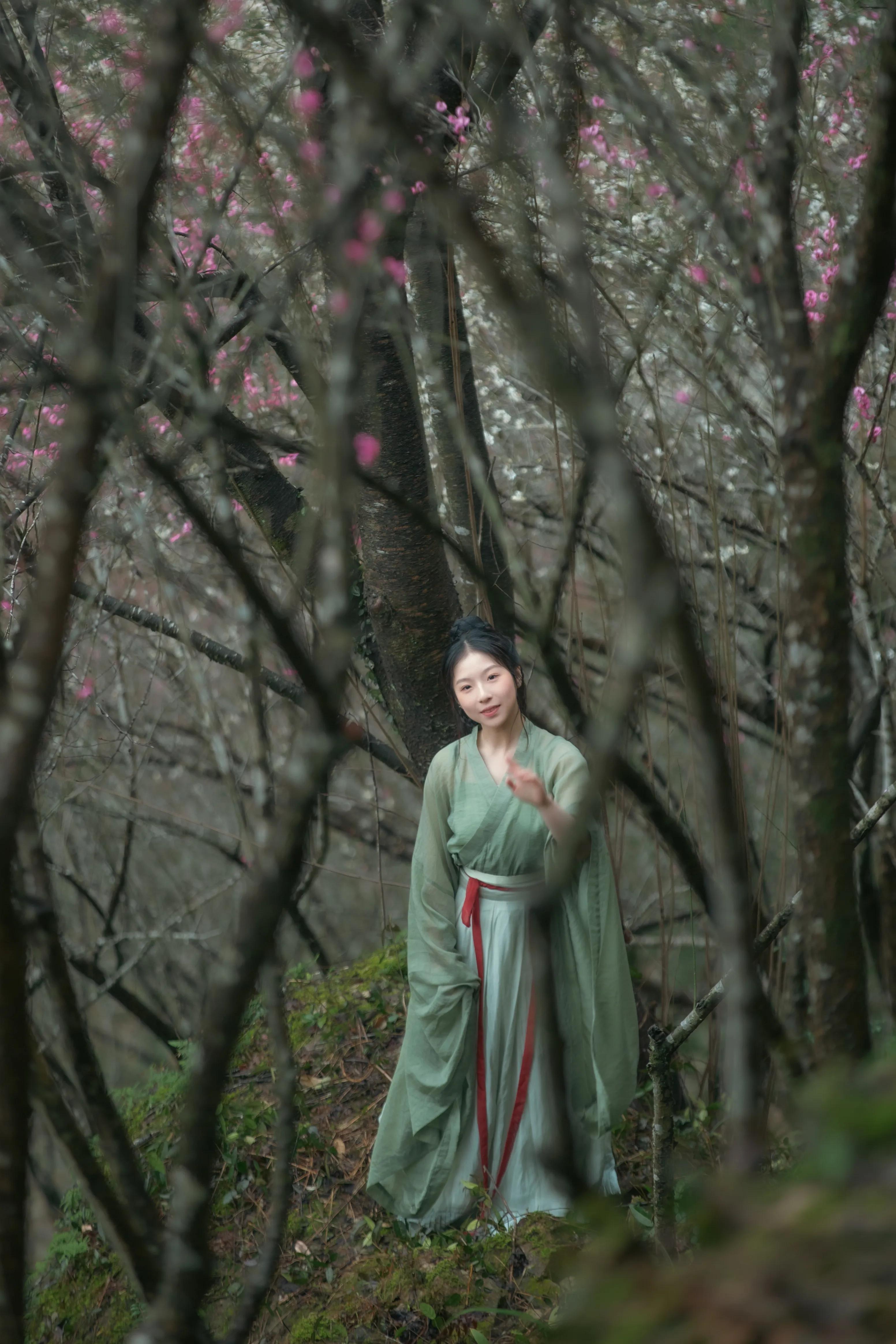Plum Blossom Festival of Yongjia Academy - iNEWS