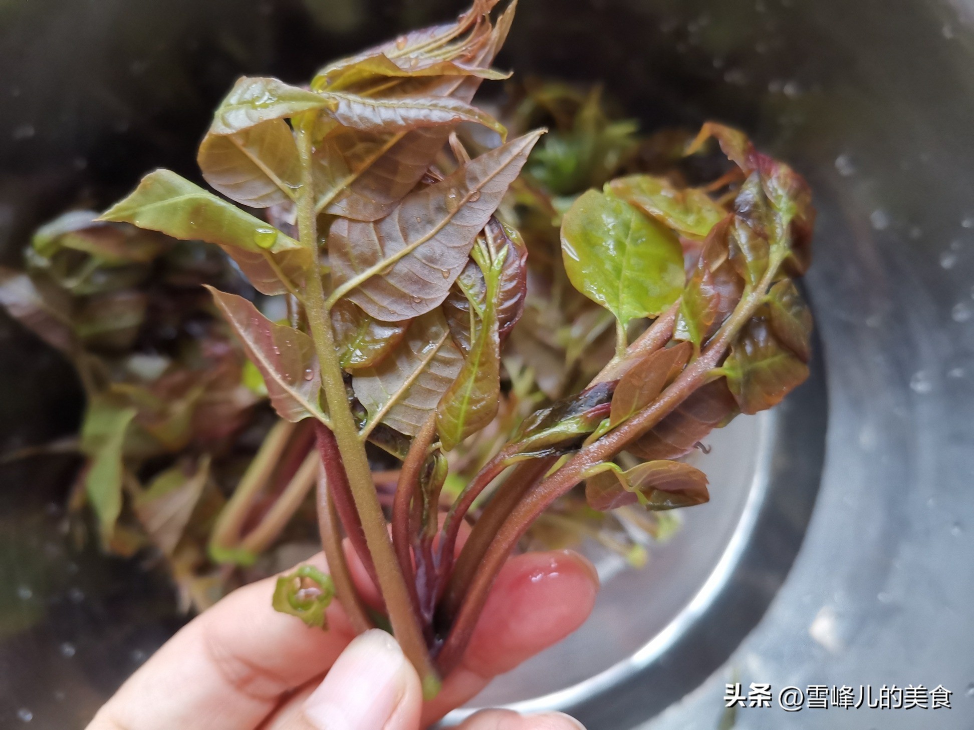 This "vegetable on the tree" is the most expensive dish in spring. It ...