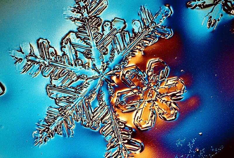 Tsk amazing!Snowflakes under the microscope - iNEWS