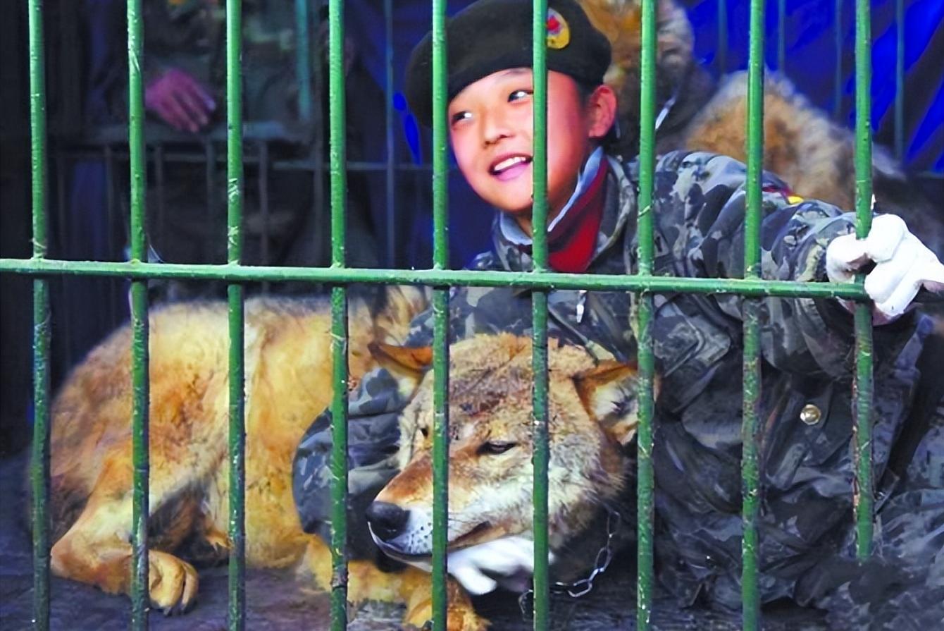 In 2012, Zhu Lin, a 9-year-old girl locked in a wolf cage by her father ...