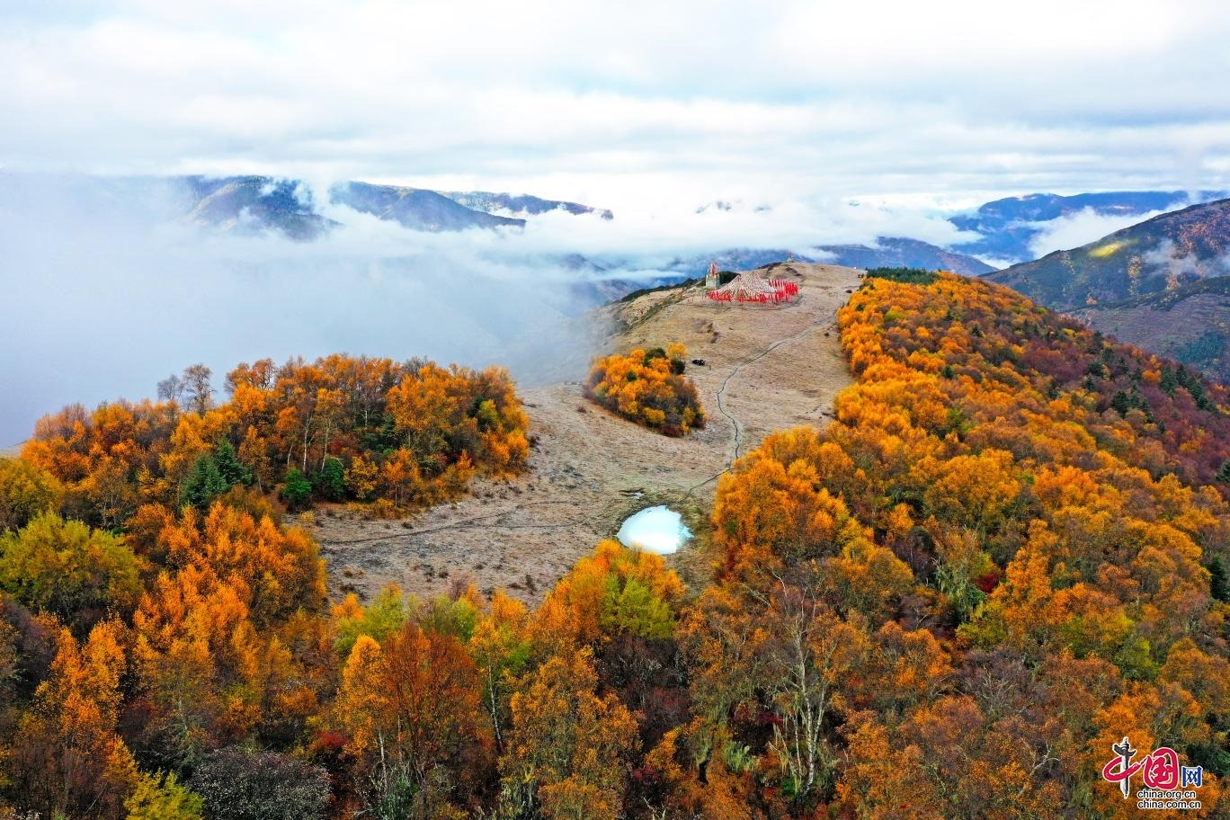Malkang Jiarong Saima Mountain ushered in the colorful forest season ...