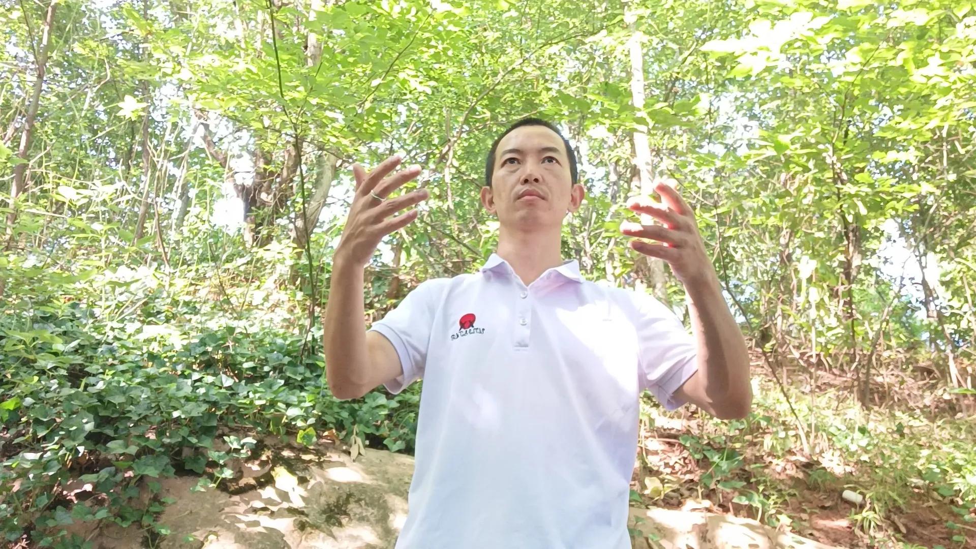 Uncover the mystery of "standing dead pile, dead standing pile".How do ...