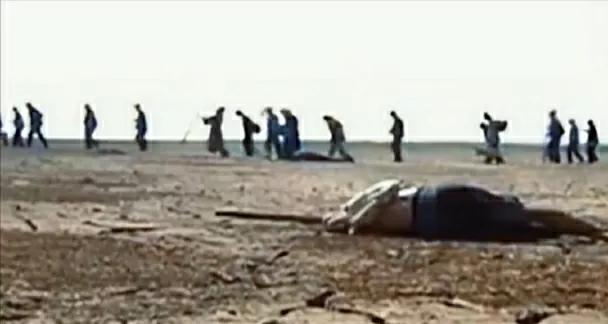 Why did Zhu Di ruthlessly attack Bai Lian?What was the final result of ...