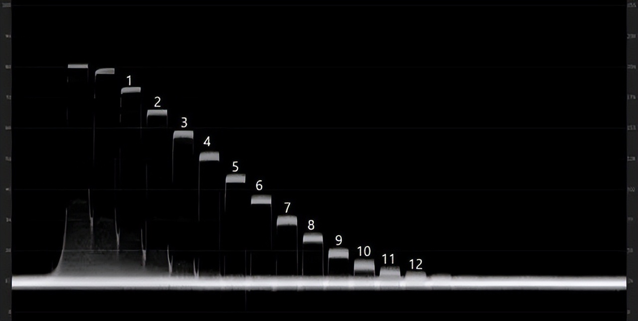 Lab Test: Canon EOS R5 Rolling Shutter/Dynamic Range/Tolerance - iMedia