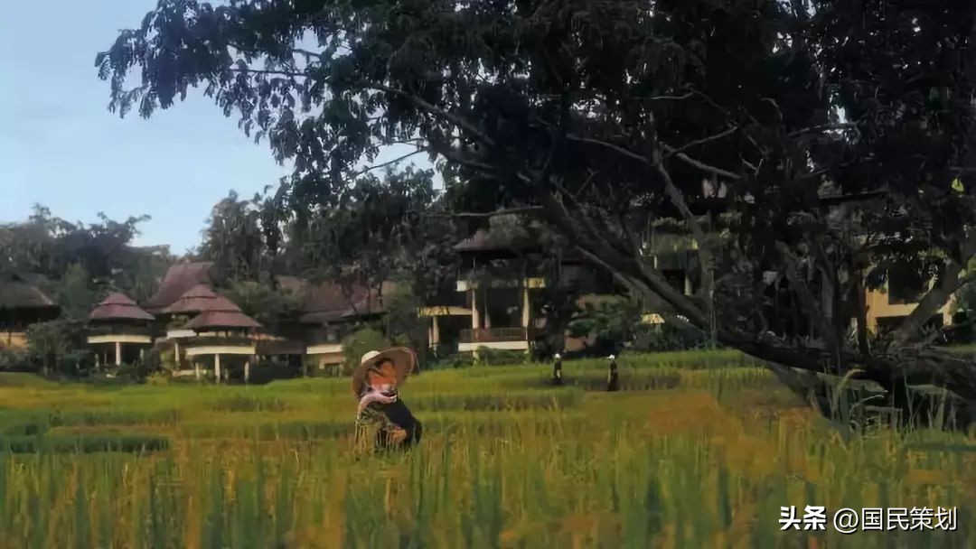 The most "rice field" hotel - Four Seasons Hotel Chiang Mai, can't help ...
