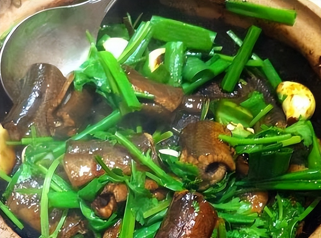 Eating eels may bring 6 benefits to the body, it is recommended to know ...