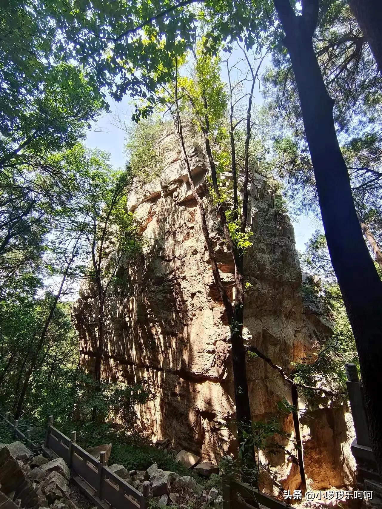 Panlong Mountain Forest Park - iMedia