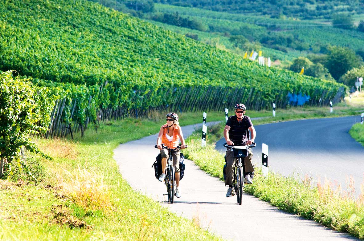 Picturesque! The 10 most popular cycle paths in Germany - iNEWS