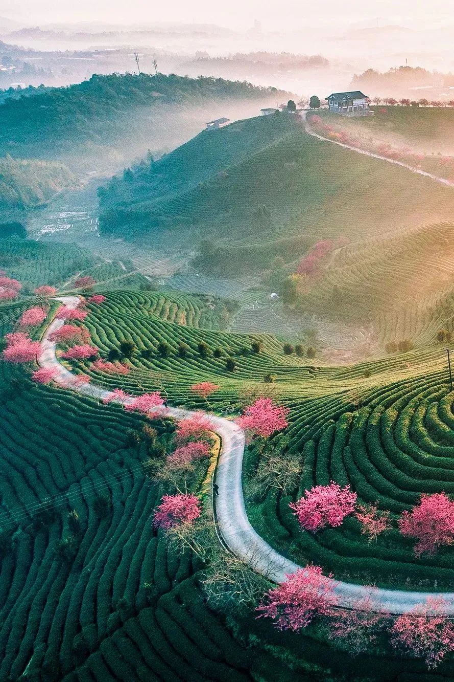 The most beautiful spring in China: most people can only see here this ...