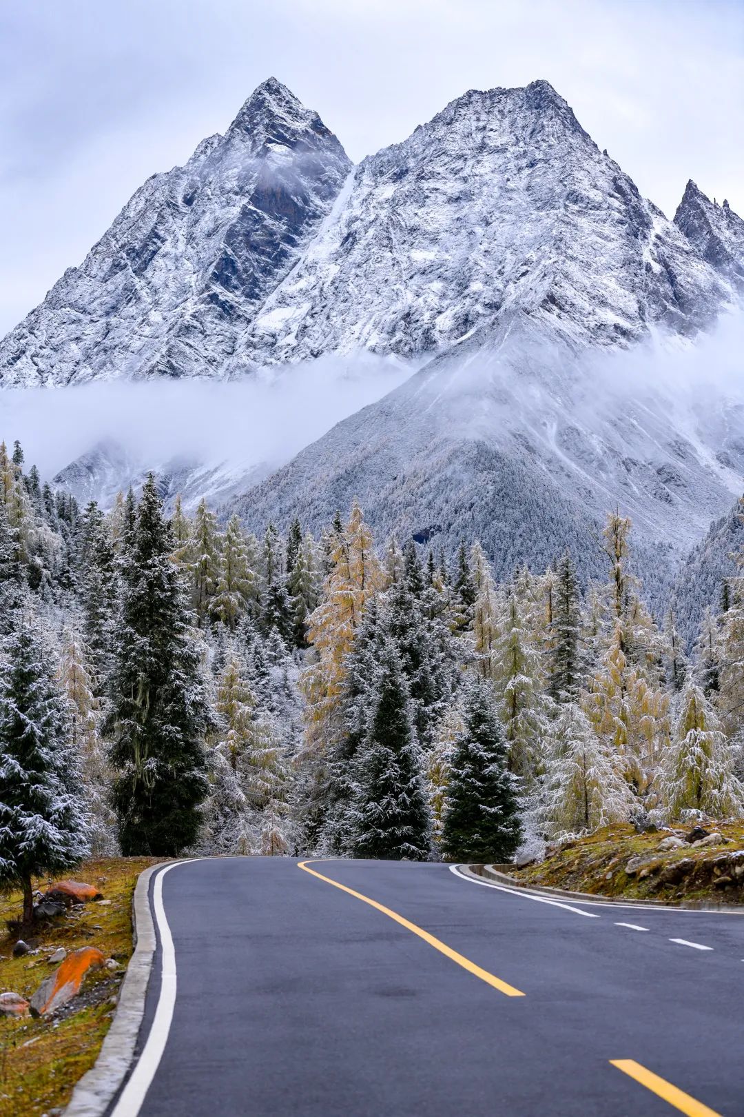 How beautiful is the autumn color of Siguniang Mountain that everyone ...
