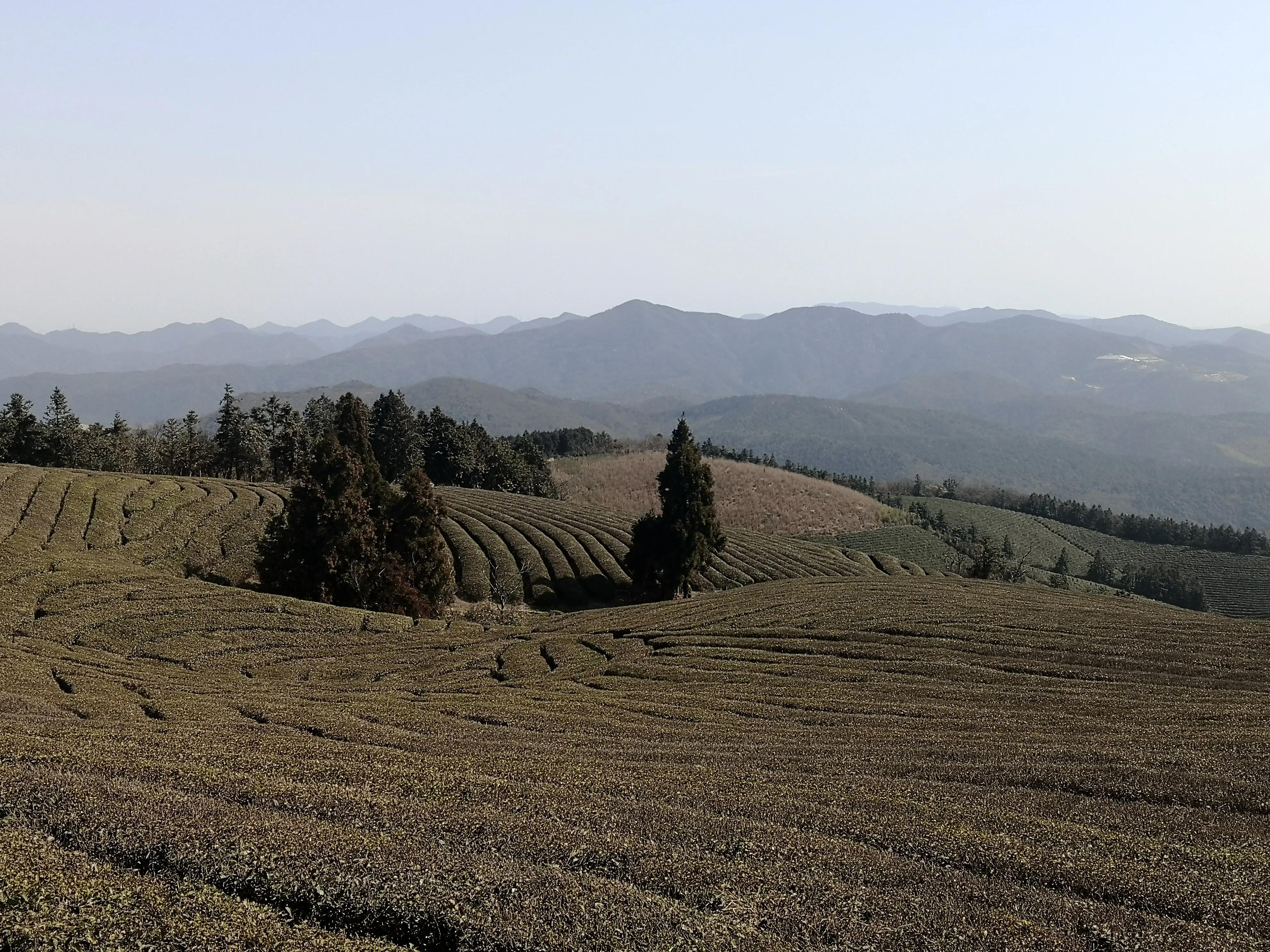 Dongqian Lake Fuquan Mountain is the most beautiful green sea this ...