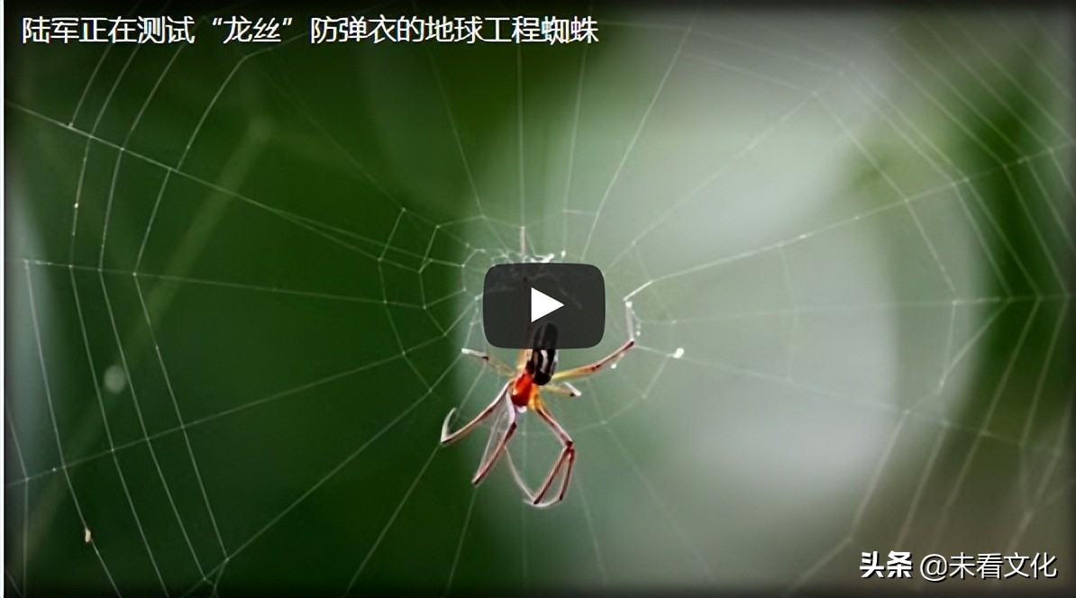 10 Human Inventions Inspired by Spiders - iNEWS
