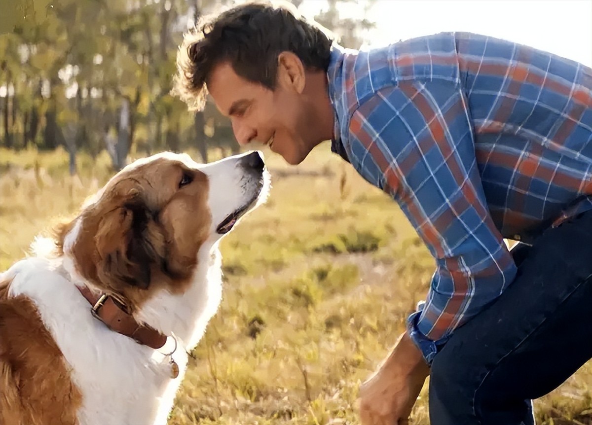 Discuss the good and evil of human nature and the loyalty of animals ...