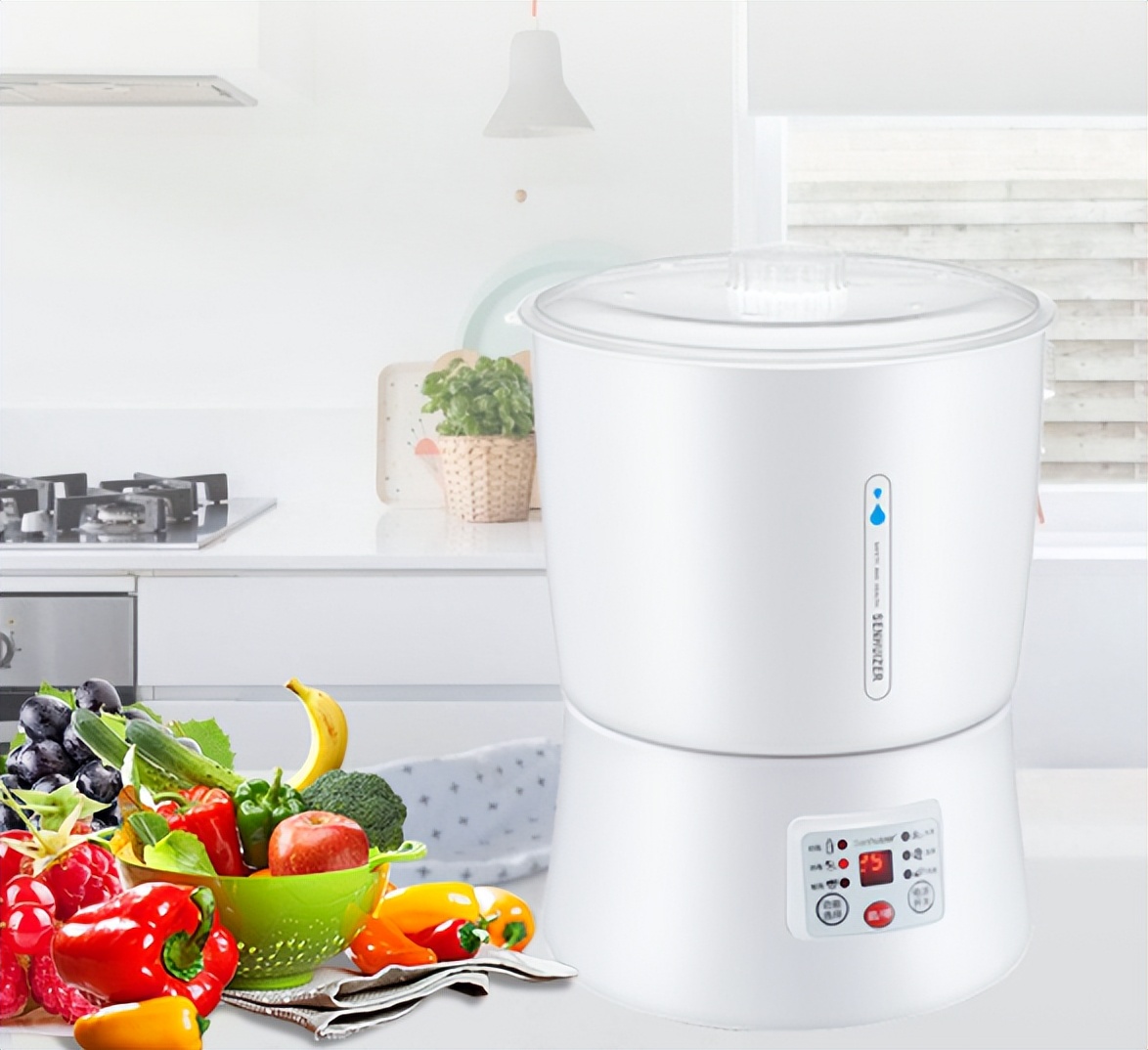 The top ten household fruit and vegetable detoxification machines, how ...