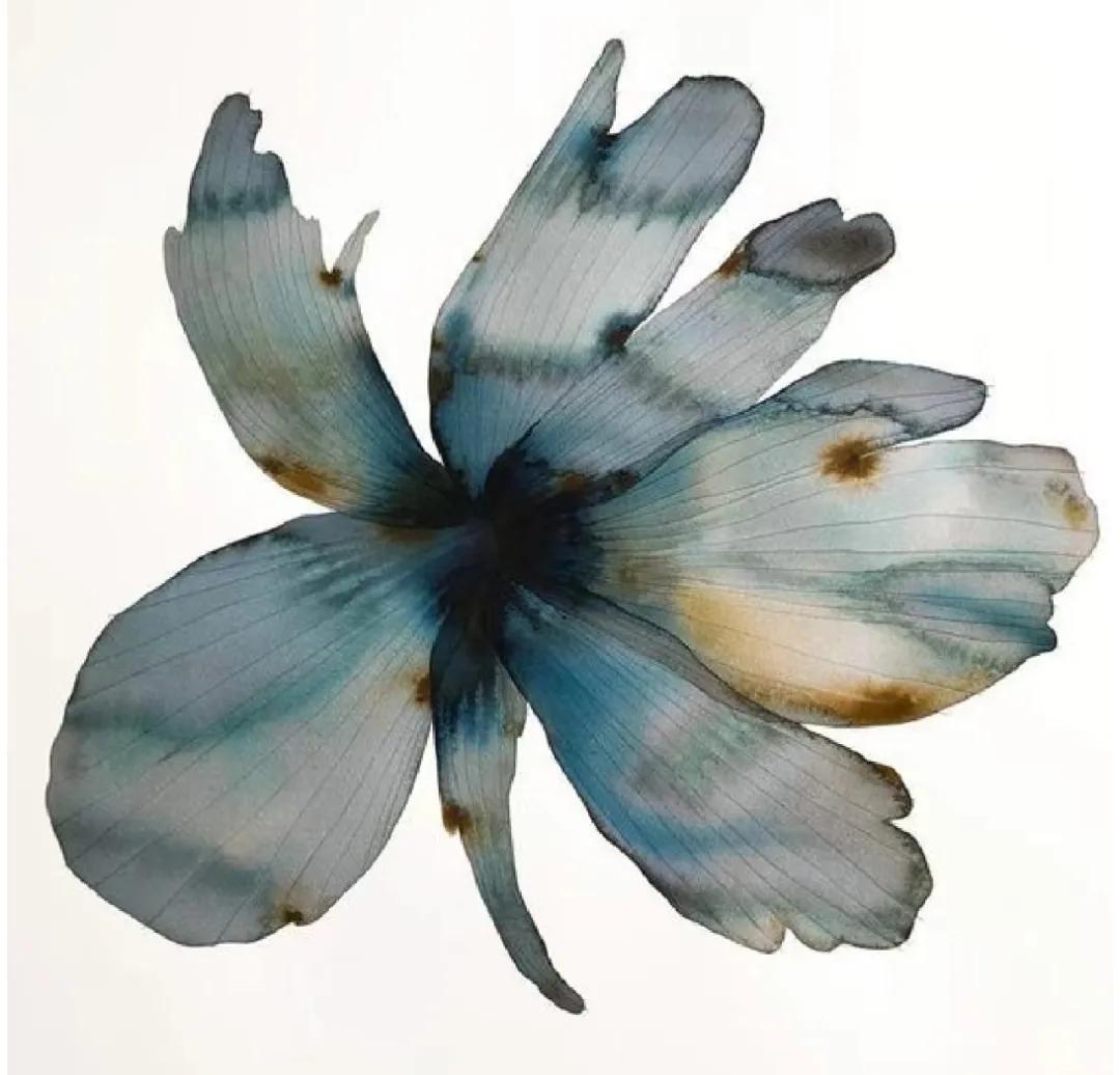 The Language of Flowers by Stephen Doherty, a - iMedia
