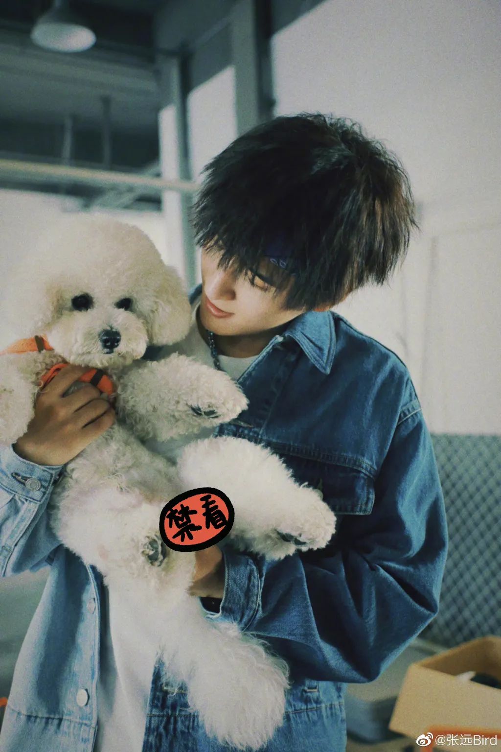 I didn't expect that 15 years later, my favorite fast guy is Zhang Yuan ...