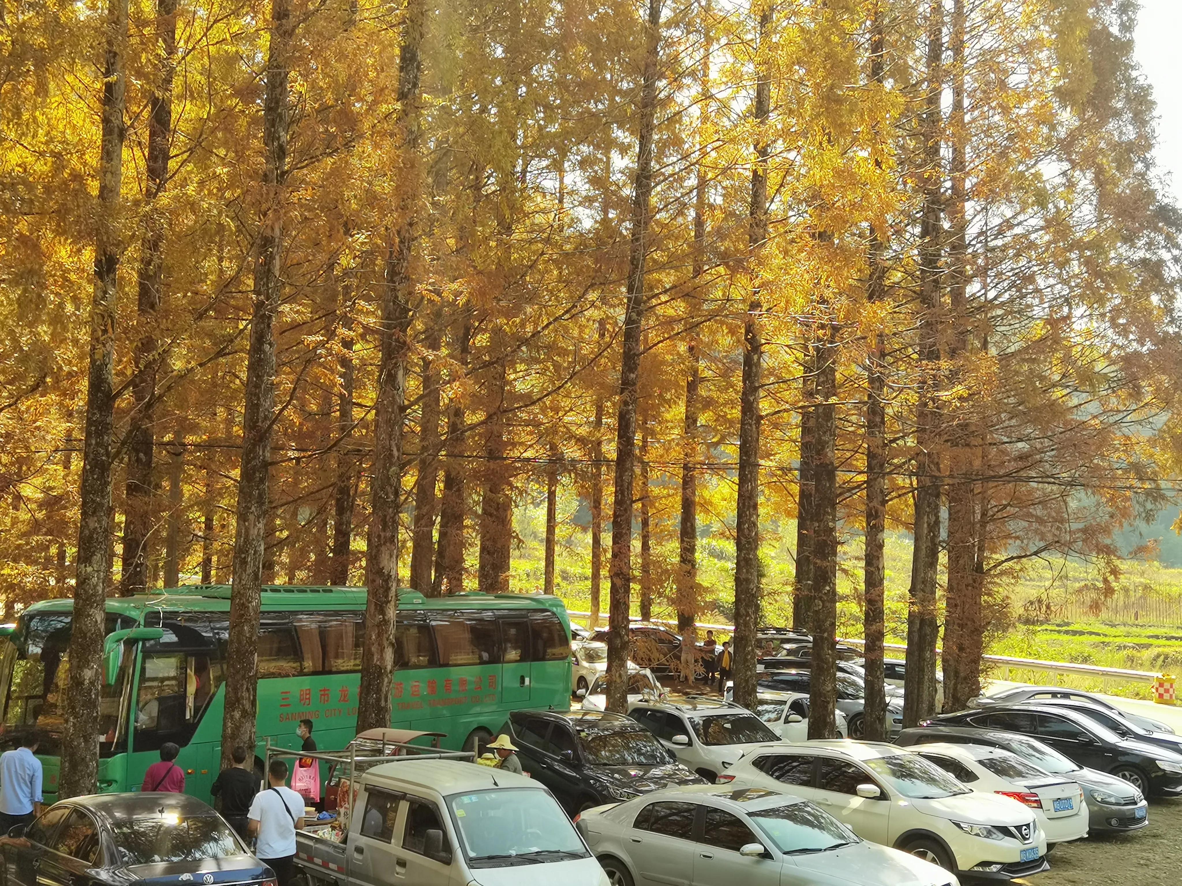 Early winter in Longqi Mountain - iNEWS