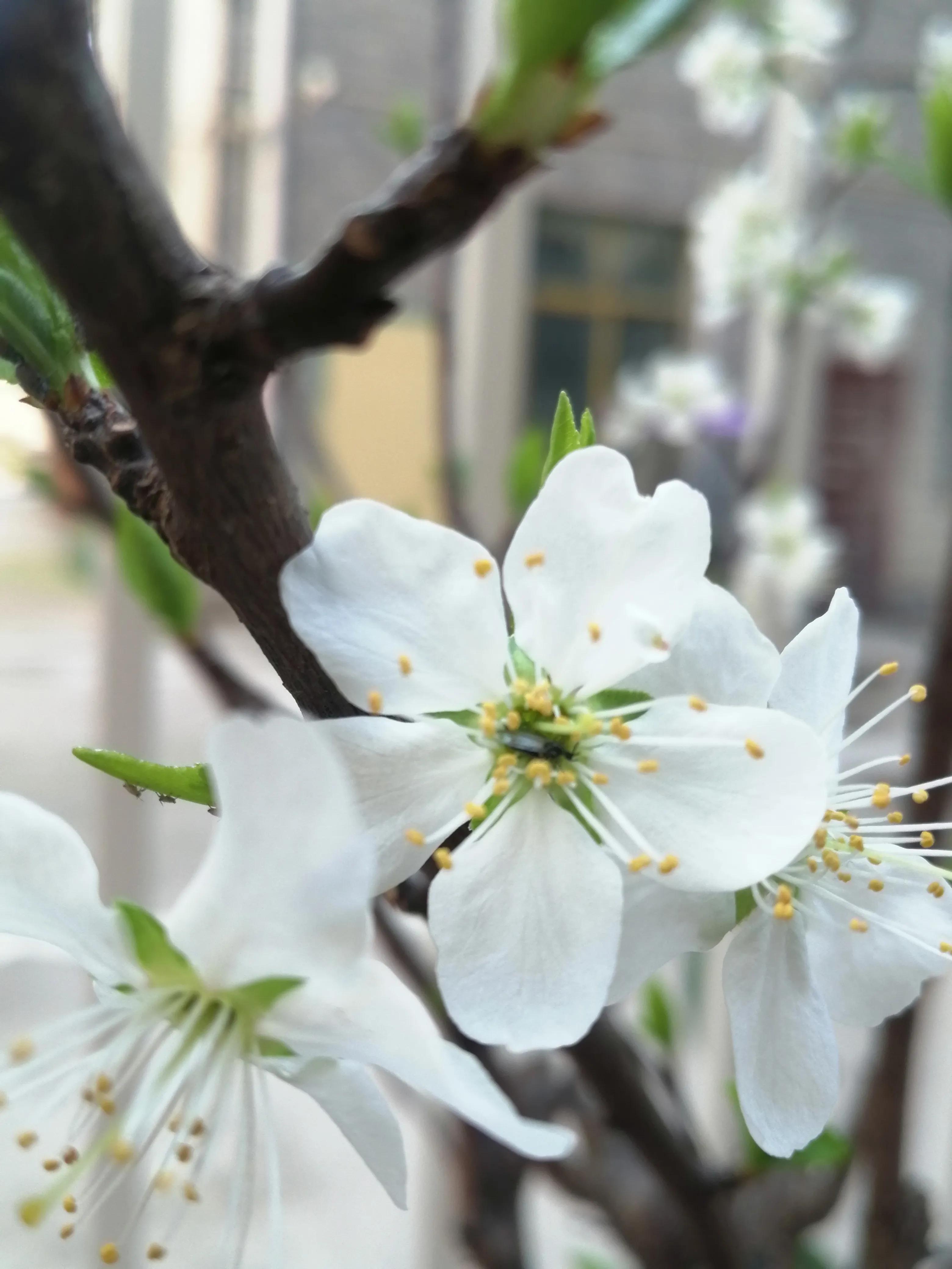 Parents who enjoy moral kidnapping are scary - iNEWS