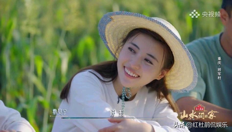Two episodes of "Home Between Mountains and Rivers" compare the gap between Wang Jianing and ...