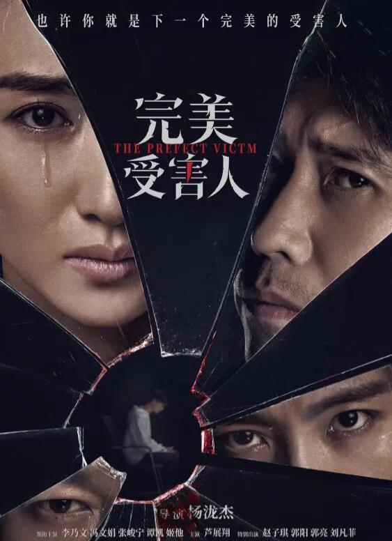 Who is behind the suspense of derailment, domestic violence, and murder in the "Perfect Victim ...