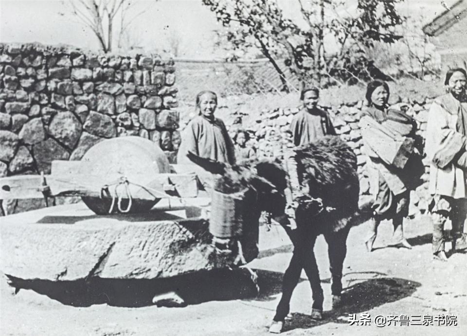 Primitive land transportation: pack animals - iNEWS