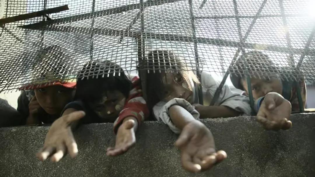 In the "dog training factory" in northern Myanmar, tens of thousands of ...