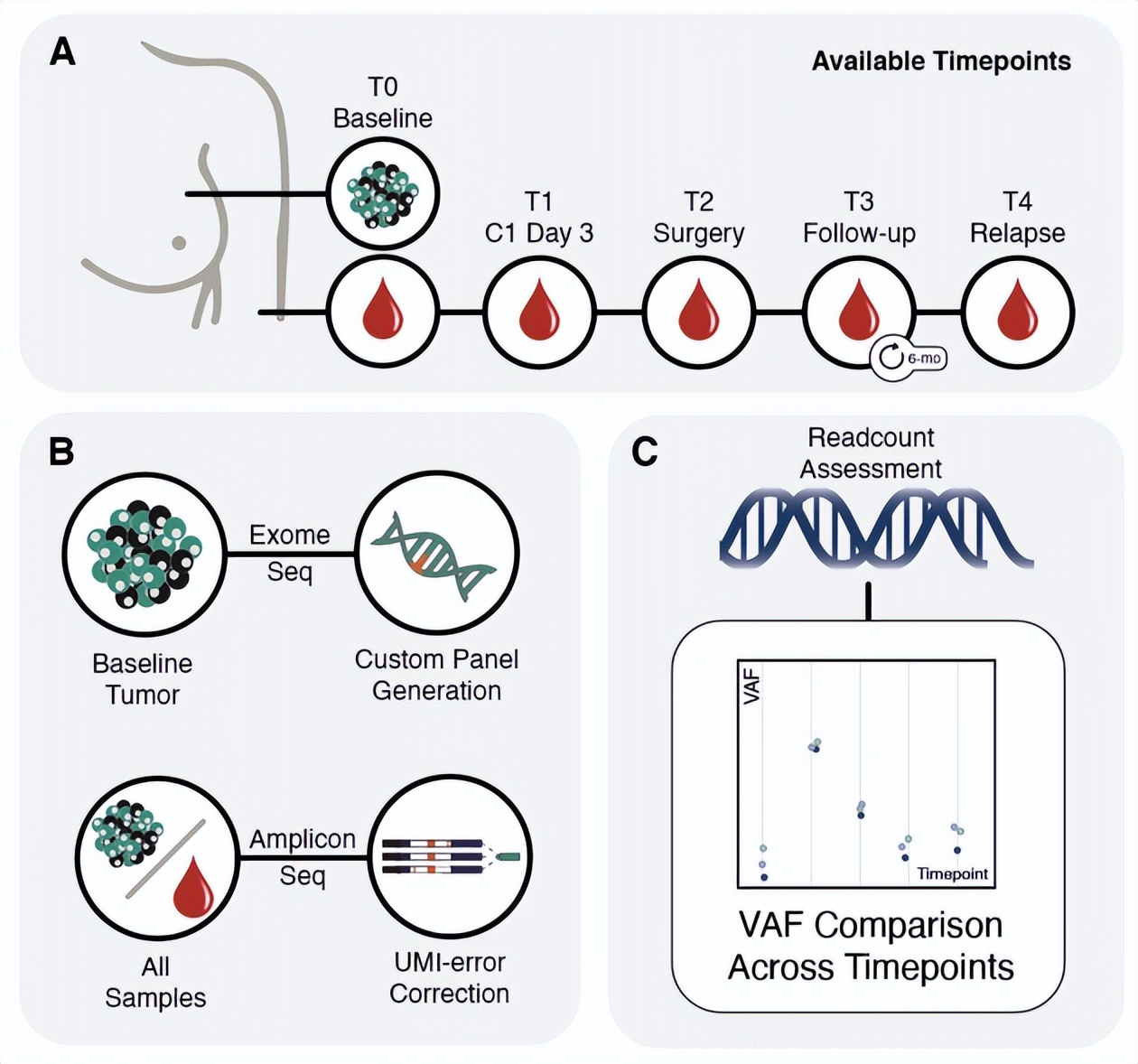 "Scientific reports": personalized ctDNA micropanel monitoring (TNBC ...