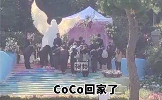 Coco Lee's burial scene exposed! My sister hugged the ashes and shouted ...