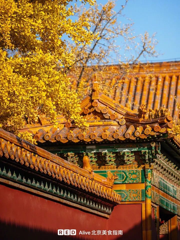 13 sets of pictures tell you how beautiful the autumn in Beijing is!How ...