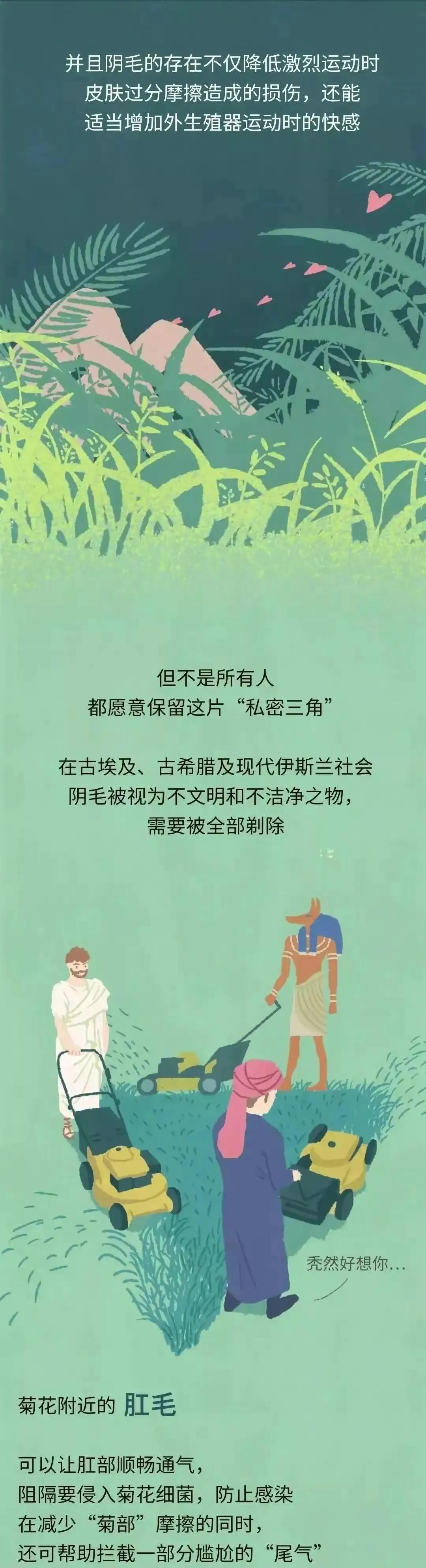 What are the functions of armpit hair, pubic hair, and nose hair? - iNEWS