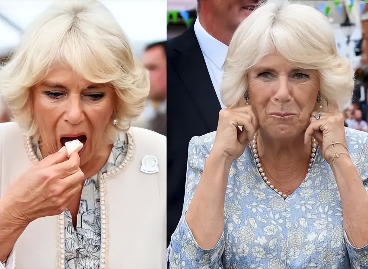 Camilla does not let others wear the crown, Princess Anne is not used ...
