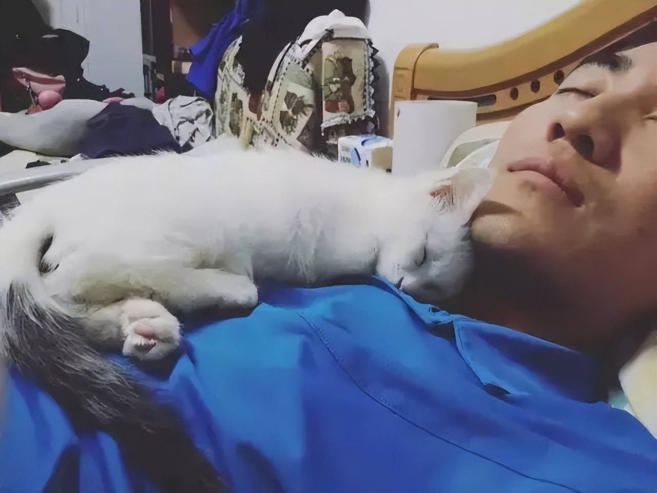 Is the cat sleeping on you just out of love?Or is there an unspeakable ...