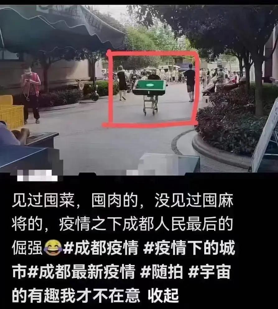 Hoarding vegetables to a new realm, mahjong, bamboo shoots half a ...