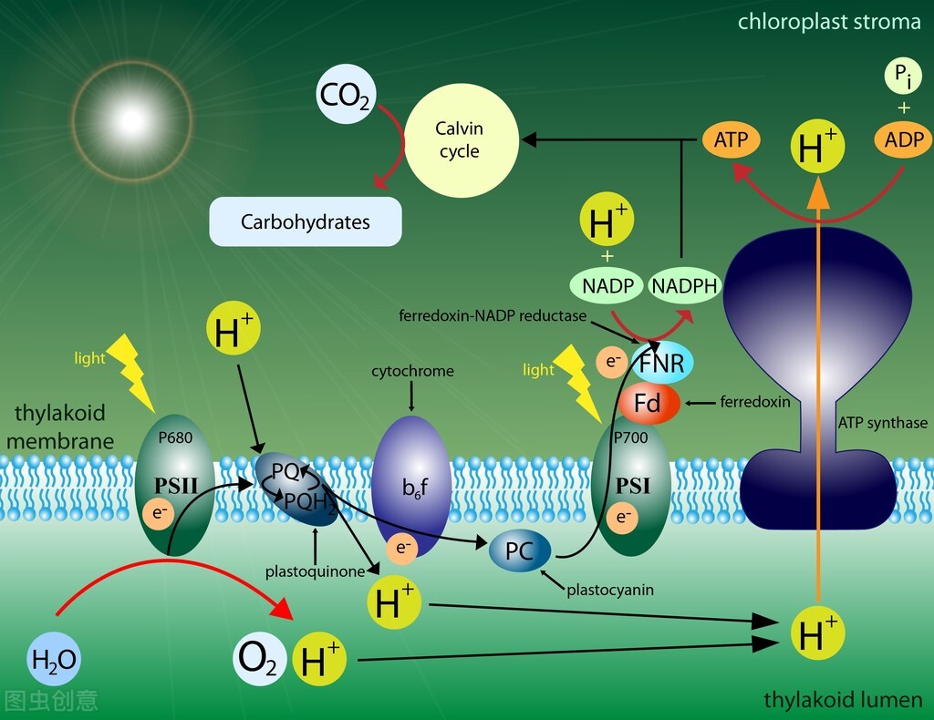 Subversive breakthrough, using carbon dioxide in the air to synthesize ...